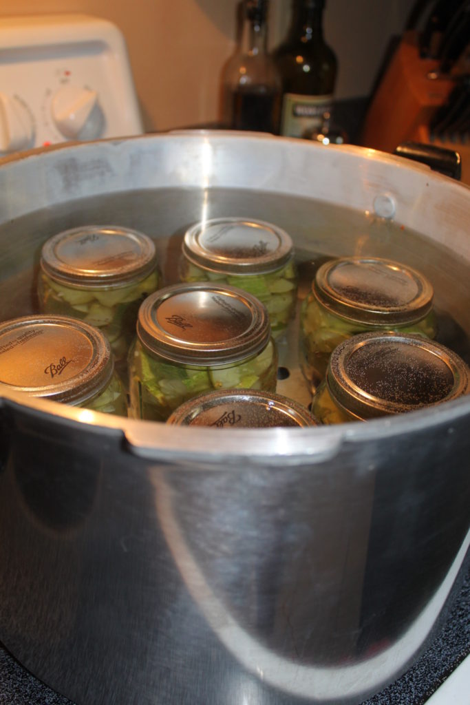 The 'Must-Haves' for Canning! - Old World Garden Farms