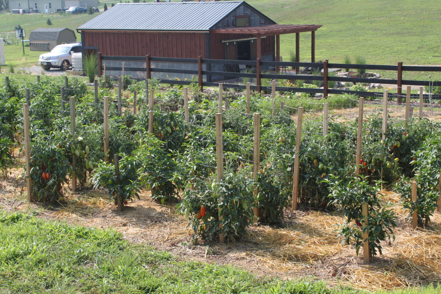 The History Of The Farm - Old World Garden Farms