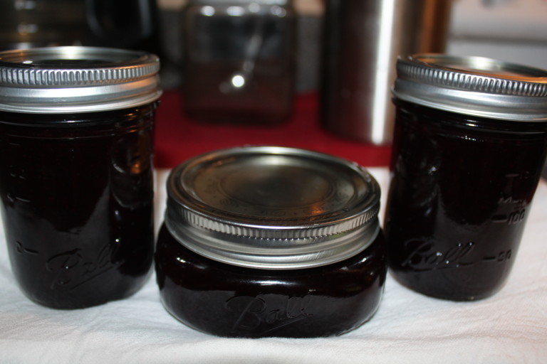 Blueberry Syrup Recipe Fresh or Canned-With A Sugar Free Option