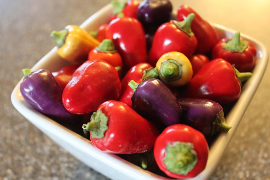 8 "Must Grow" Plants For This Year's Garden! - Old World Garden Farms