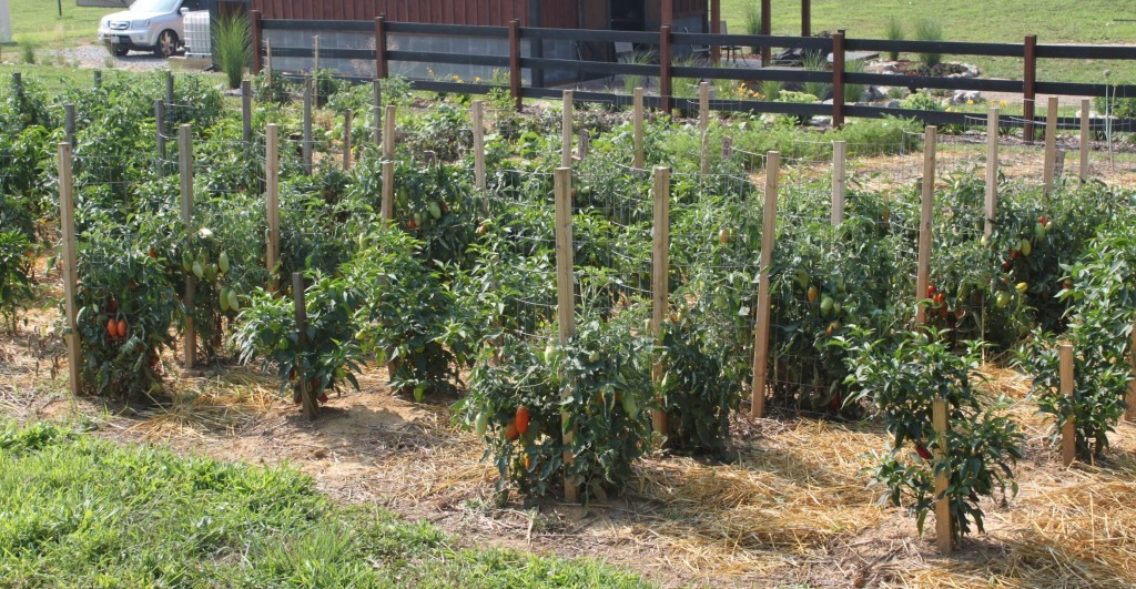 The 2015 Garden Plan - Growing The Food That Feeds The Family - Old ...