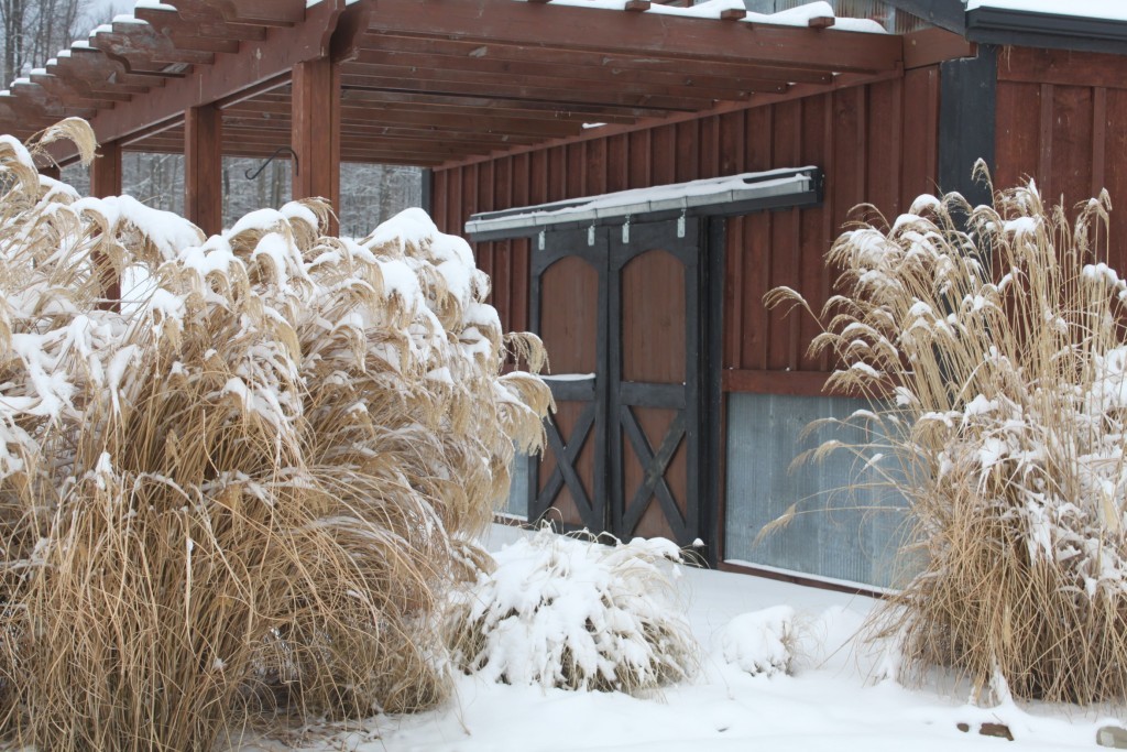 Winter Photos From The Farm - And The Snow Falls! - Old World Garden Farms