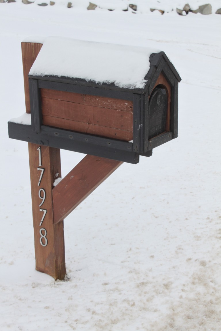 Winter Photos From The Farm - And The Snow Falls! - Old World Garden Farms