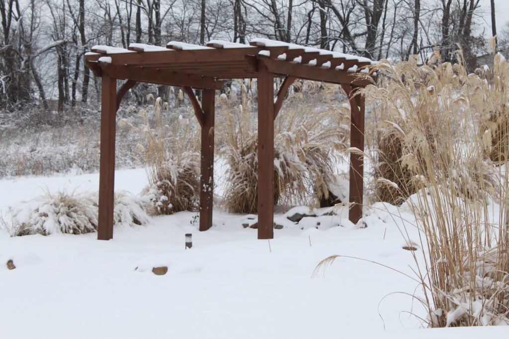 Winter Photos From The Farm - And The Snow Falls! - Old World Garden Farms