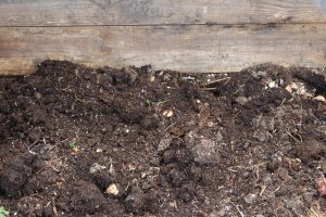 How To Use Falling Leaves For A Great Garden Next Year