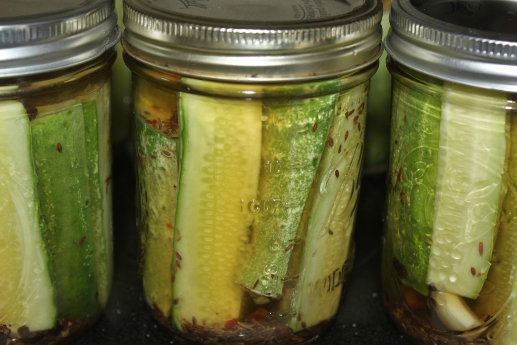 Crispy Dill Pickle Recipe Low Temp Method - Old World Garden Farms