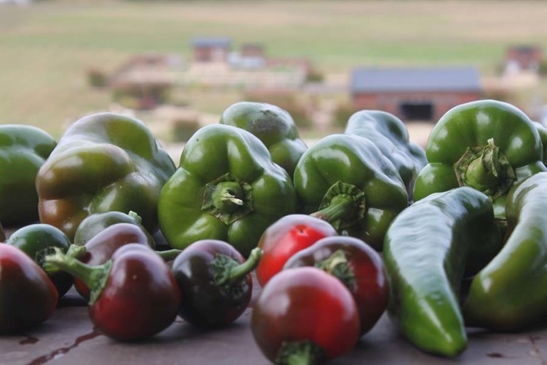 Autumn Scenes From The Farm - A Photo Tour of Fall's Beauty