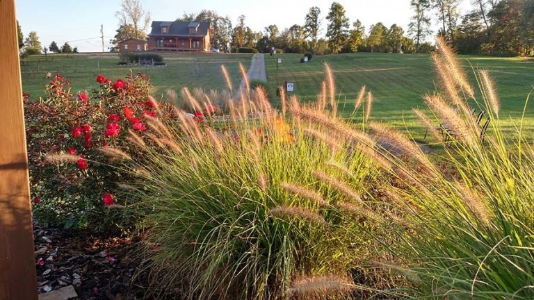 Autumn Scenes From The Farm - A Photo Tour of Fall's Beauty