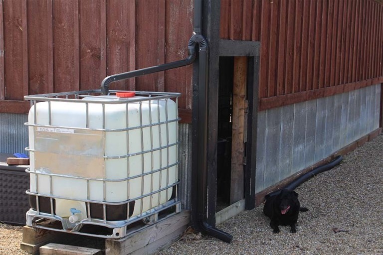 Early Spring Farm Photos From The Old World Garden Farm And Homestead