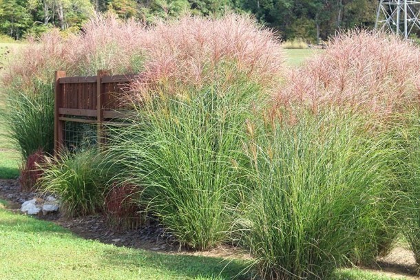 Autumn Farm Photos From Old World Garden Farms - Fall's Colors Arrive!