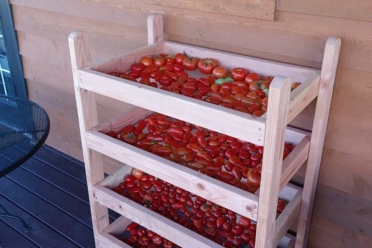How To Ripen Or Dry Garden Vegetables With A DIY 2x4 Harvest Rack!