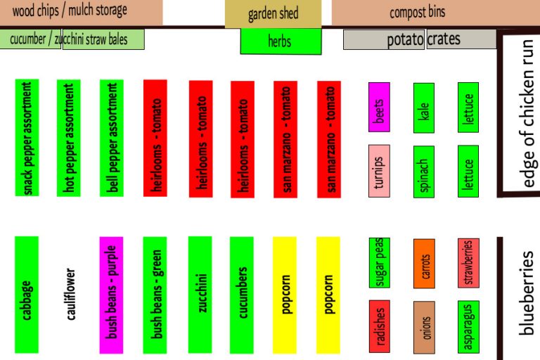 The Ultimate Vegetable Garden Plan - How To Grow Your Own Groceries!