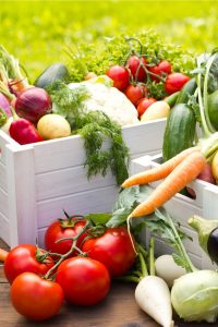 The Ultimate Vegetable Garden Plan - How To Grow Your Own Groceries!