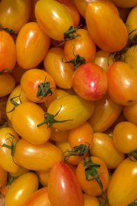 The Tiger Blush Tomato - How To Grow The Most Amazing Tomato Ever!