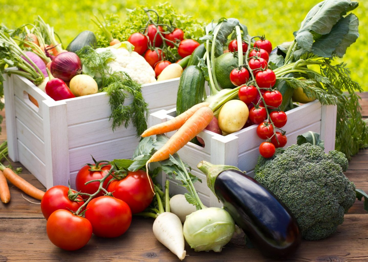 How To Make Your Vegetable Plants Grow Faster How To Make Your Vegetable Plants Grow Faster