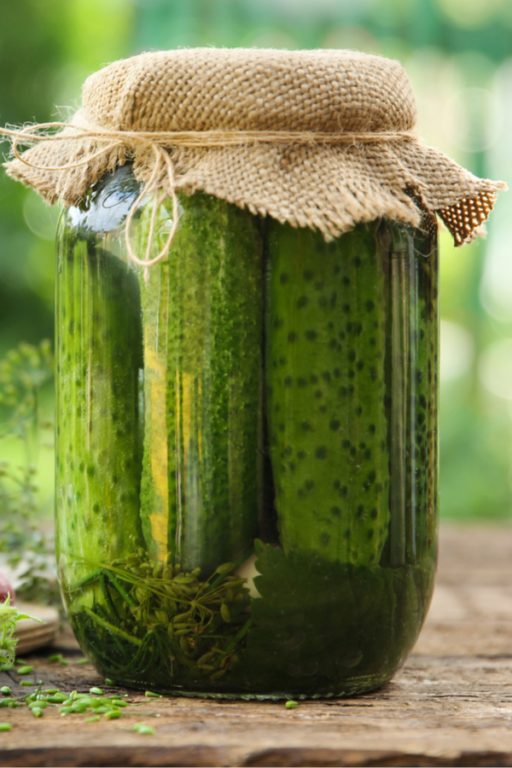 The Best Cucumber Plant For Making Pickles Ever - And How To Grow It!