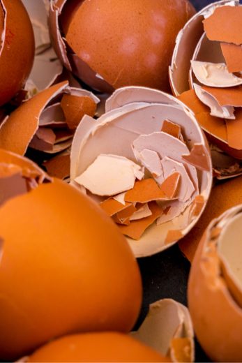 Gardening With Chickens - How Raising Chickens Can Help You Grow Big!