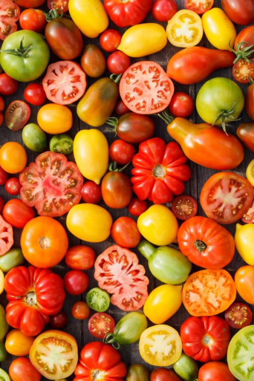 The Tiger Blush Tomato - How To Grow The Most Amazing Tomato Ever!