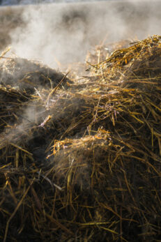 How To Make A Compost Pile Get Hot! The Secrets To Heat Your Pile Fast