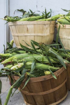 How To Can Sweet Corn - An Easy Method To Preserve Corn
