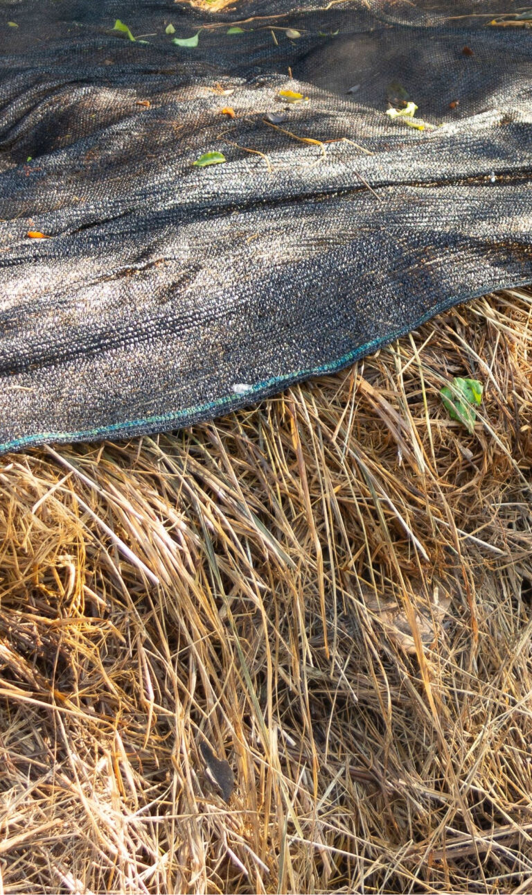 Winter Composting - How To Keep Composting In The Winter!