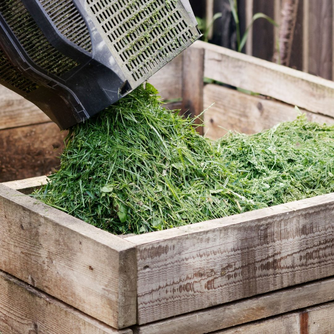 How To Grow Your Own Garden Mulch - And Avoid Costly Straw!