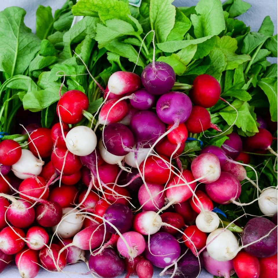 How To Store Radishes So They Remain Crisp