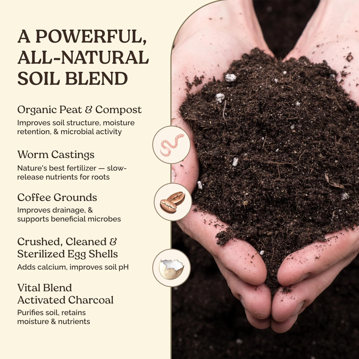 The Perfect Soil Booster - How To Plant Your Plants With Power!
